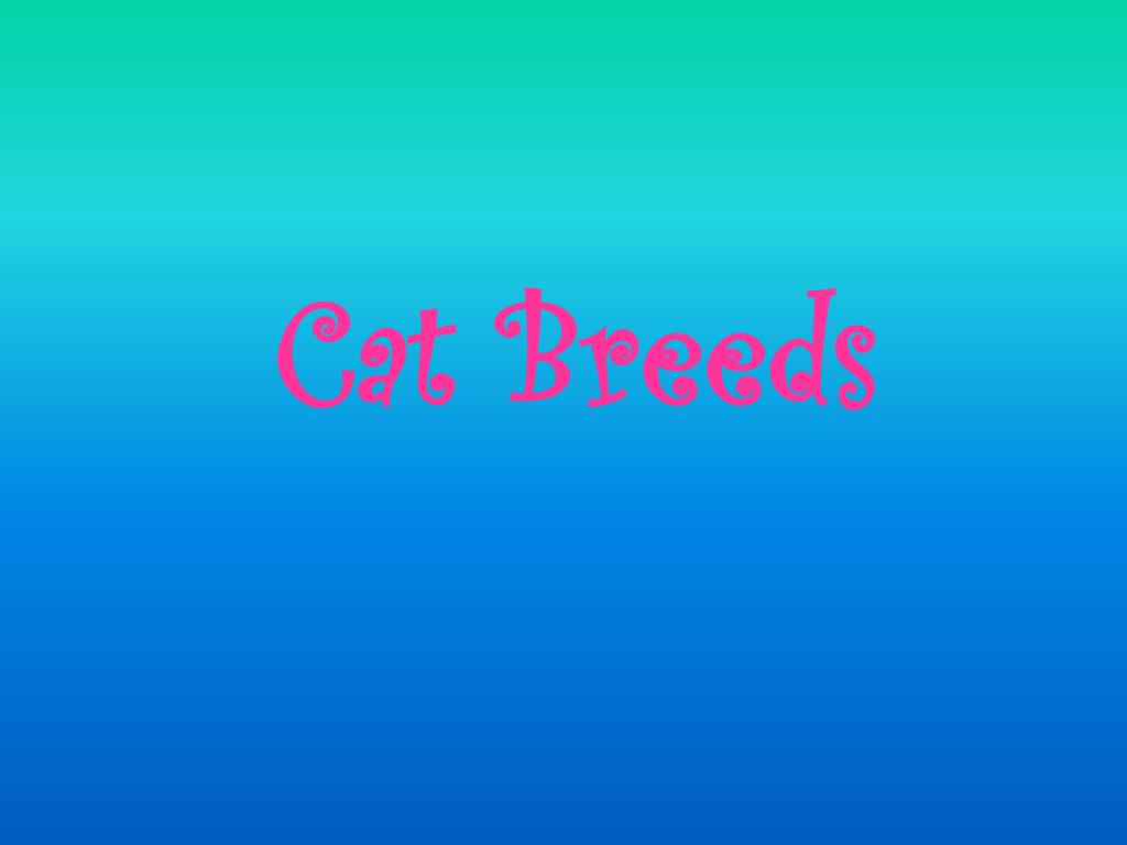PPT - Cat Breeds PowerPoint Presentation, free download - ID:2000889