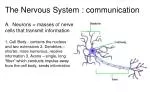 PPT - Nervous System Communication PowerPoint Presentation, free ...