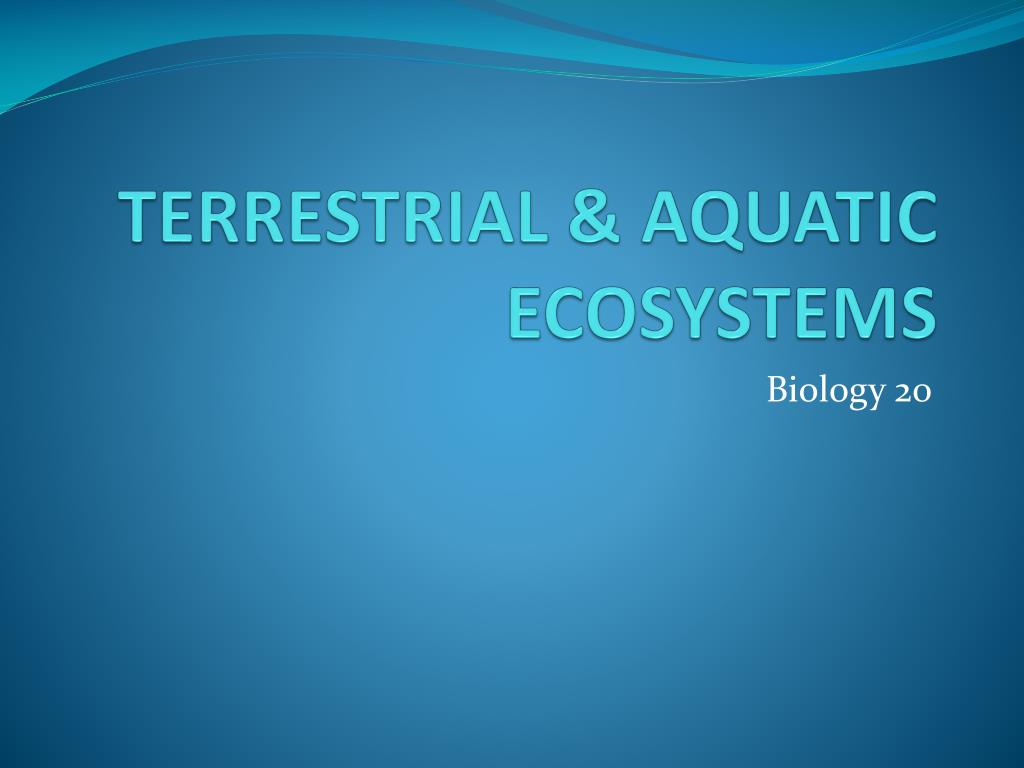 PPT - TERRESTRIAL & AQUATIC ECOSYSTEMS PowerPoint Presentation, free ...