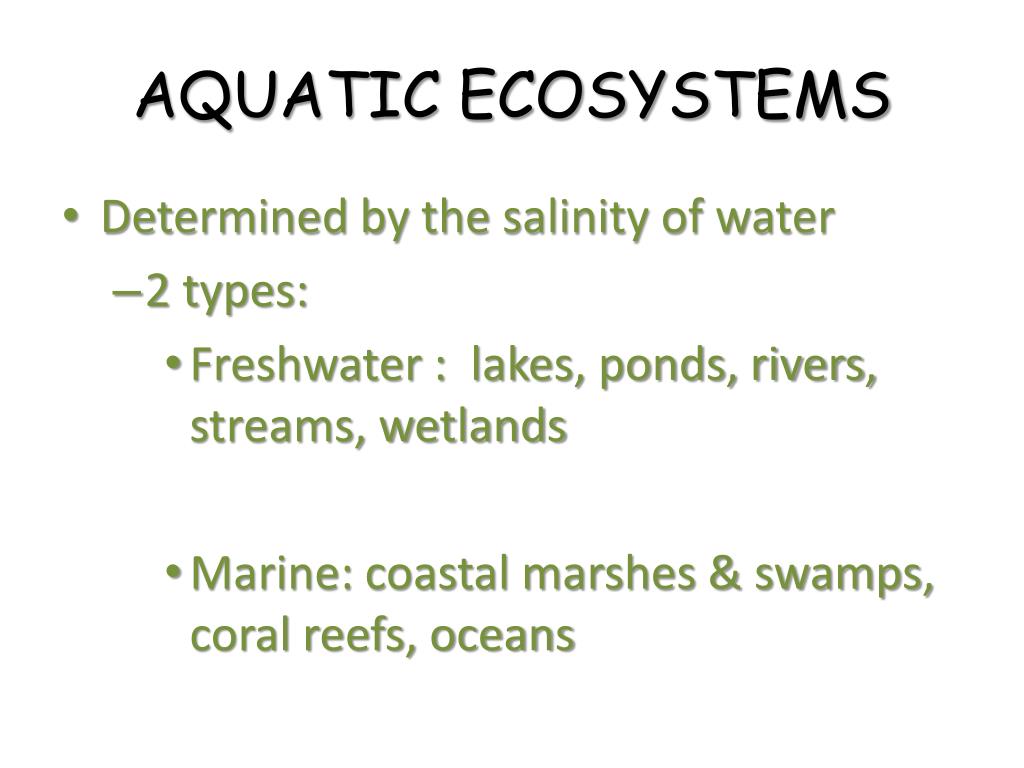 PPT - AQUATIC ECOSYSTEMS PowerPoint Presentation, free download - ID ...