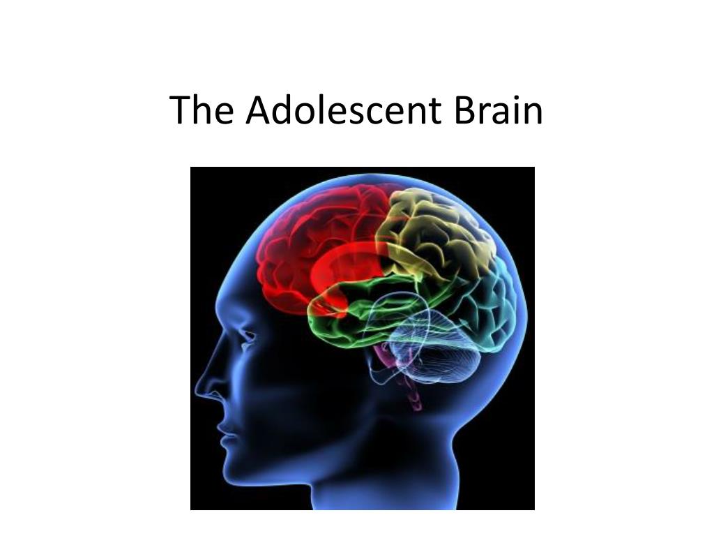 PPT - The Adolescent Brain PowerPoint Presentation, free download - ID ...
