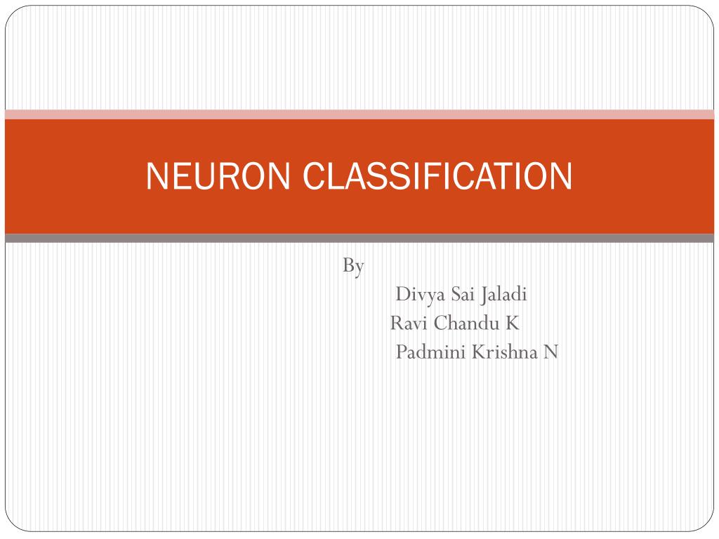 PPT - NEURON CLASSIFICATION PowerPoint Presentation, free download - ID ...
