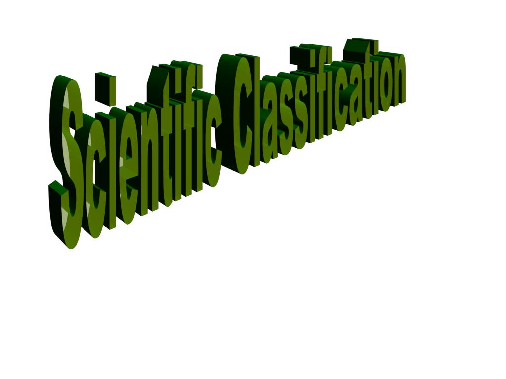 PPT - Scientific Classification PowerPoint Presentation, free download ...