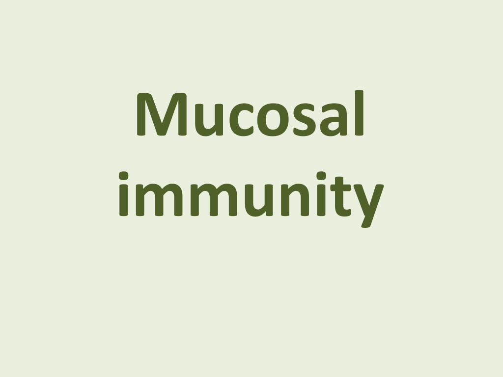 PPT - Mucosal immunity PowerPoint Presentation, free download - ID:2005868