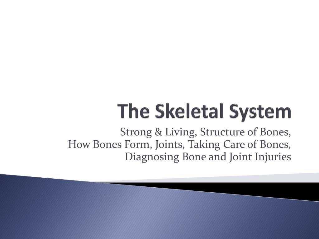 PPT - The Skeletal System PowerPoint Presentation, free download - ID ...