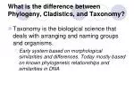 PPT - Phenetics vs. Cladistics PowerPoint Presentation, free download ...