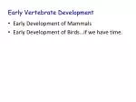 PPT - Vertebrate Development PowerPoint Presentation, free download ...