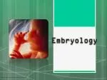 PPT - GENERAL EMBRYOLOGY PowerPoint Presentation, free download - ID:240085