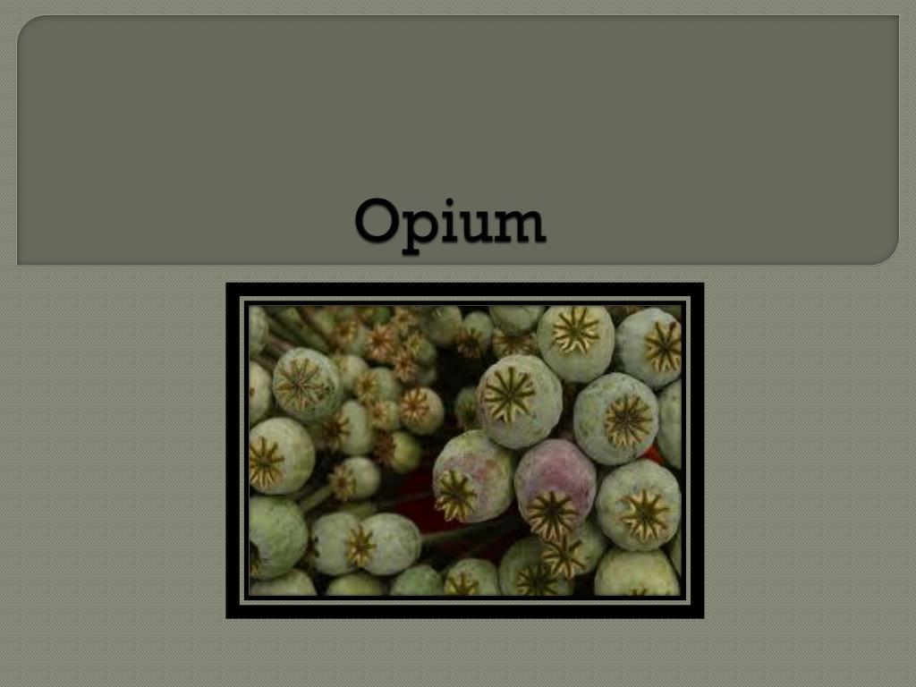 PPT - Opium PowerPoint Presentation, free download - ID:2008444