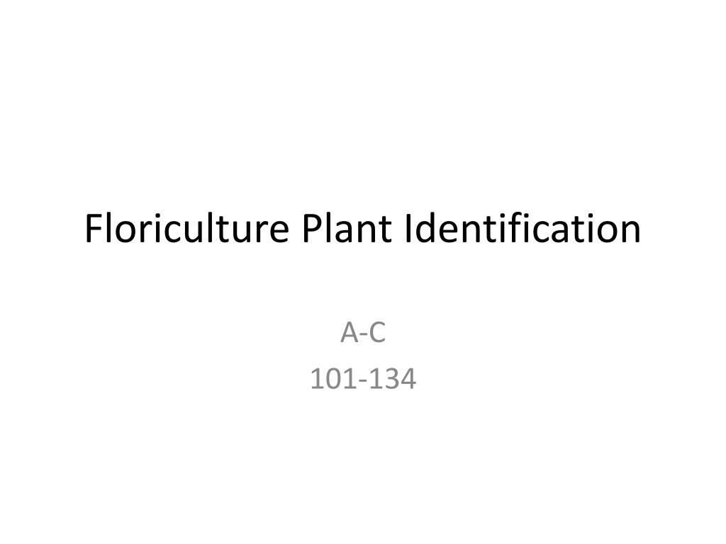 PPT - Floriculture Plant Identification PowerPoint Presentation, free ...