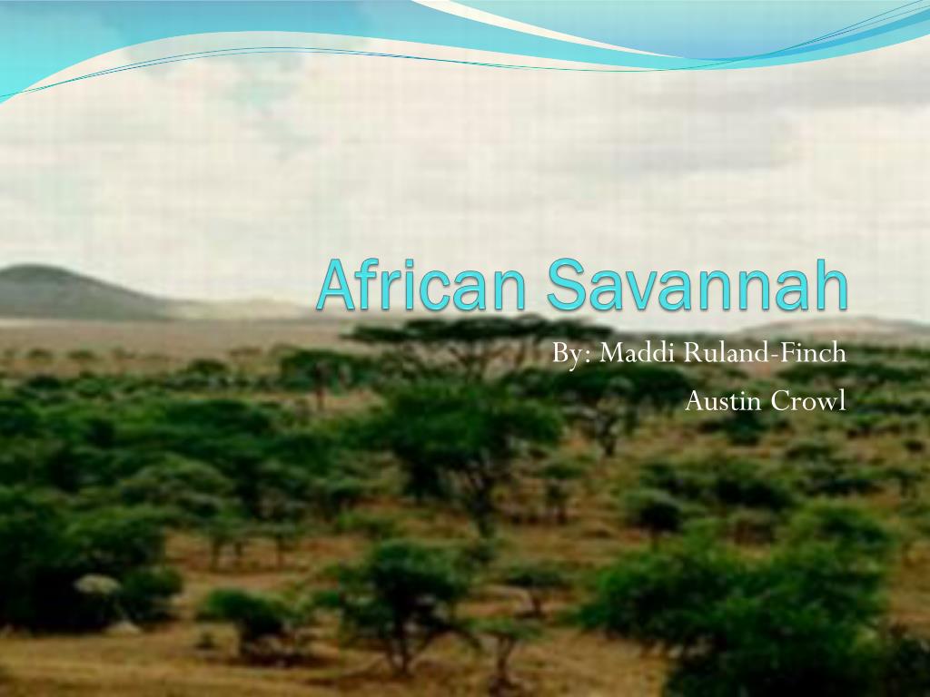PPT - African Savannah PowerPoint Presentation, free download - ID:2009980