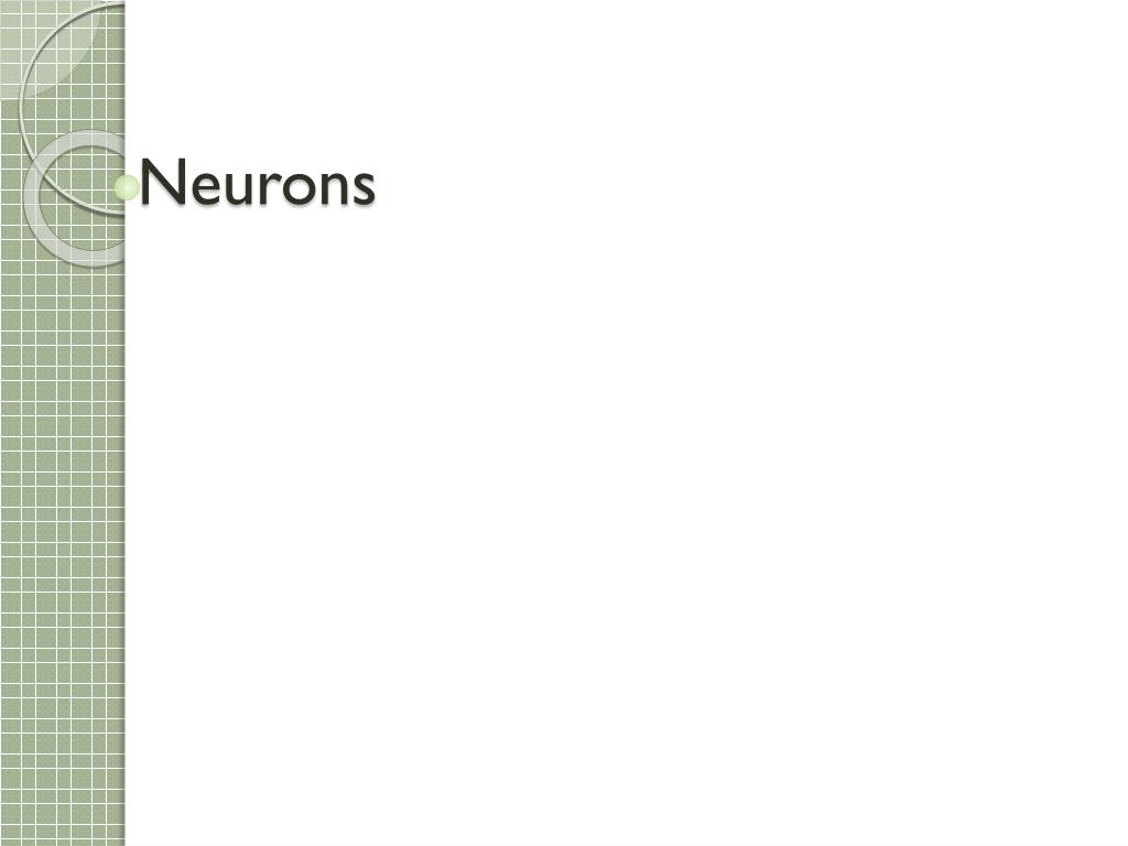 PPT - Neurons PowerPoint Presentation, free download - ID:2010088
