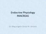 PPT - The Endocrine Pancreas PowerPoint Presentation, free download ...