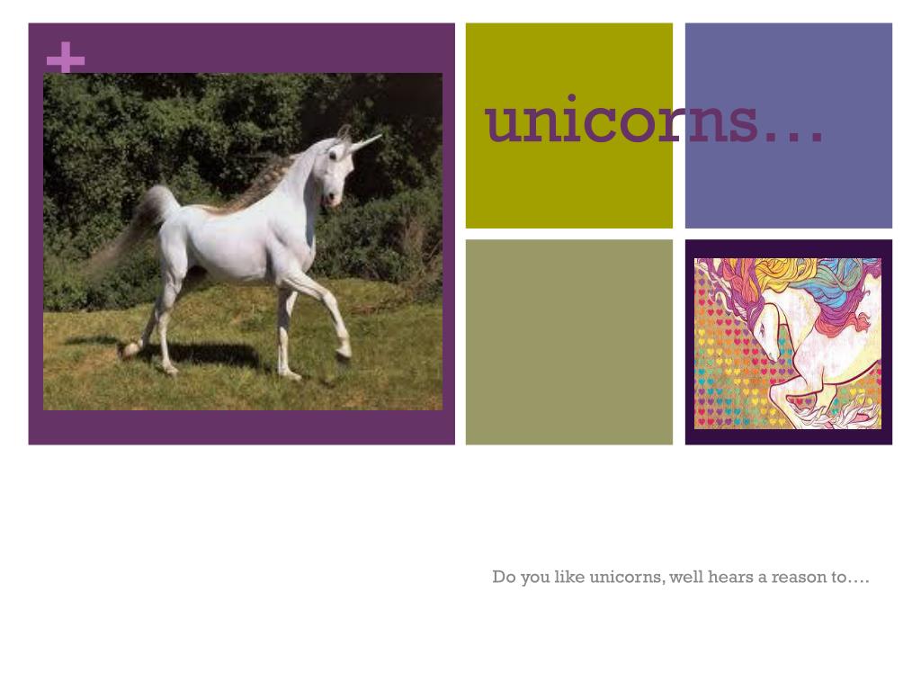 PPT - unicorns… PowerPoint Presentation, free download - ID:2010205