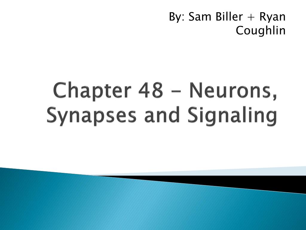 PPT - Chapter 48 - Neurons, Synapses and Signaling PowerPoint ...