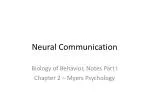 PPT - Neural Communication PowerPoint Presentation, free download - ID ...
