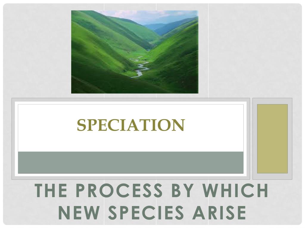 PPT - Speciation PowerPoint Presentation, free download - ID:2011545