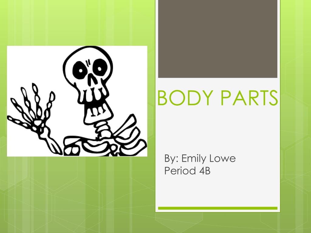 PPT - BODY PARTS PowerPoint Presentation, free download - ID:2011737
