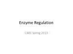 PPT - Chapter 15 Enzyme Regulation PowerPoint Presentation, free ...
