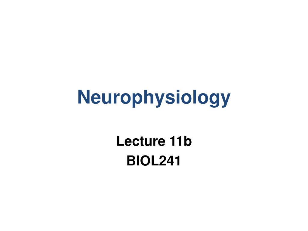 PPT - Neurophysiology PowerPoint Presentation, free download - ID:2013126