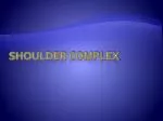 PPT - Biomechanics of Shoulder Complex. PowerPoint Presentation, free ...