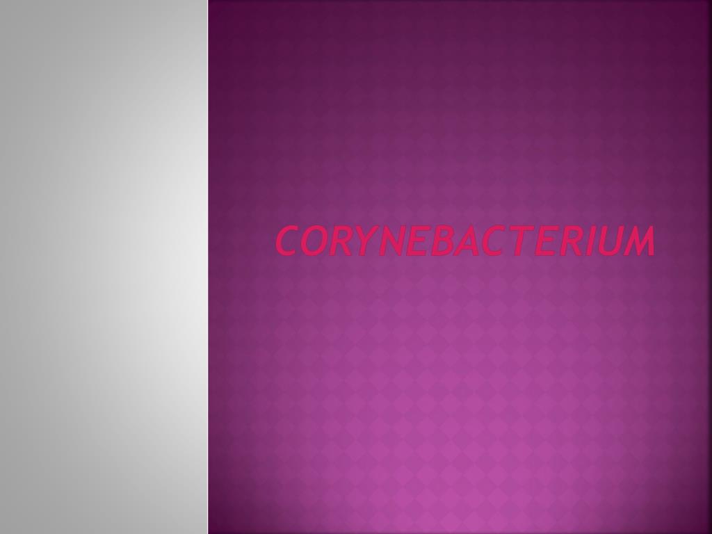 PPT - Corynebacterium PowerPoint Presentation, free download - ID:2013471