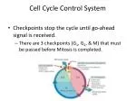 PPT - Cell cycle control PowerPoint Presentation, free download - ID ...