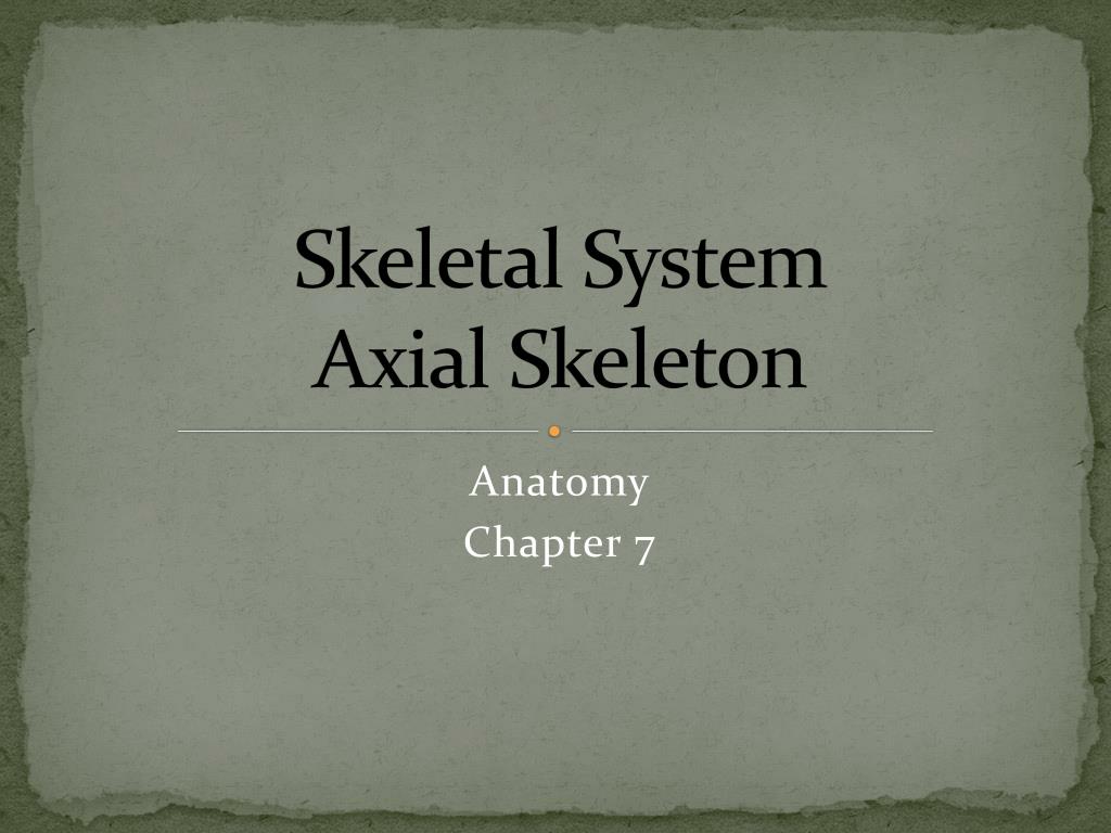 PPT - Skeletal System Axial Skeleton PowerPoint Presentation, free ...