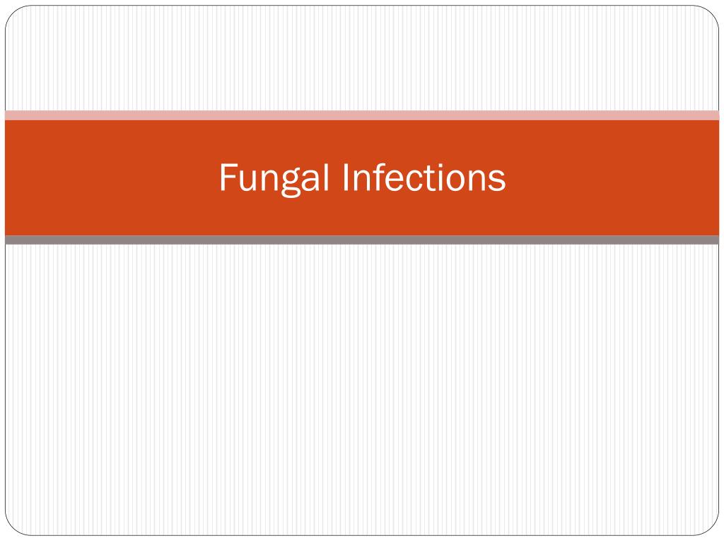 PPT - Fungal Infections PowerPoint Presentation, free download - ID:2014488