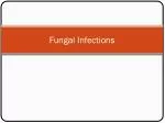 PPT - Fungal Infections PowerPoint Presentation, free download - ID:554303
