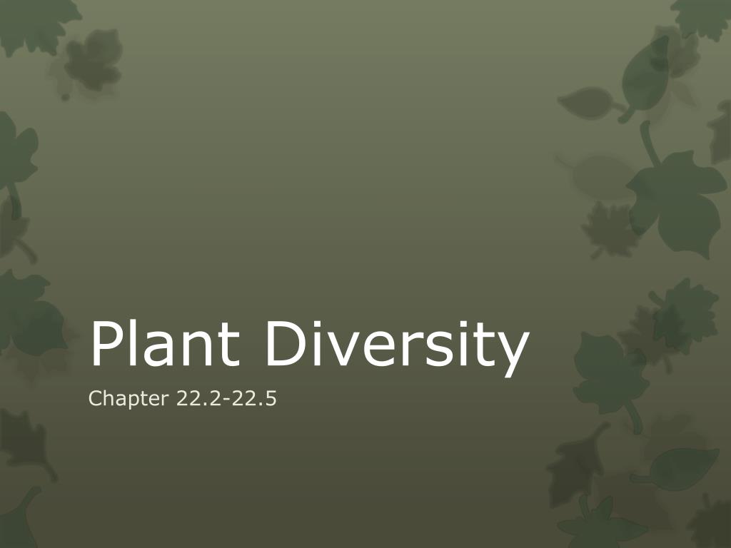 PPT - Plant Diversity PowerPoint Presentation, free download - ID:2014500