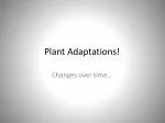PPT - Plant Adaptations PowerPoint Presentation, free download - ID:6899917