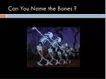 PPT - Gratuitous Monty Python video Can you name these fallacies ...