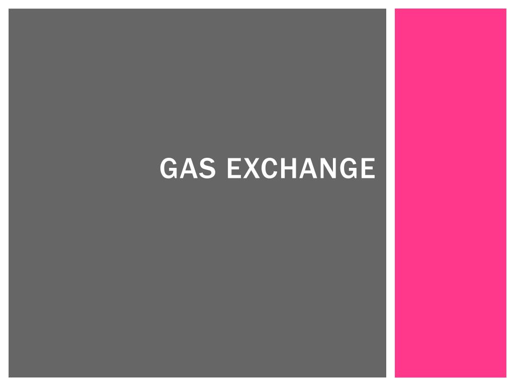 PPT - Gas exchange PowerPoint Presentation, free download - ID:2015873