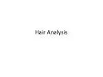 PPT - HAIR ANALYSIS PowerPoint Presentation, free download - ID:2047646