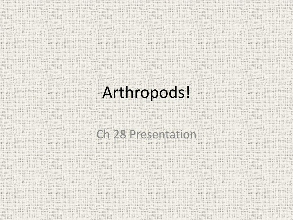 PPT - Arthropods! PowerPoint Presentation, free download - ID:2016066