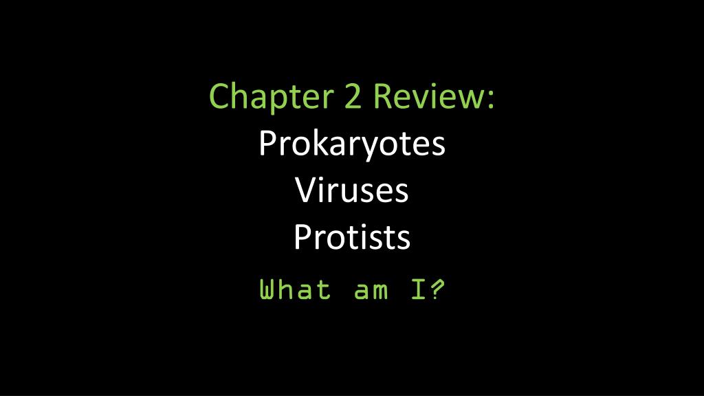 PPT - Chapter 2 Review: Prokaryotes Viruses Protists PowerPoint ...
