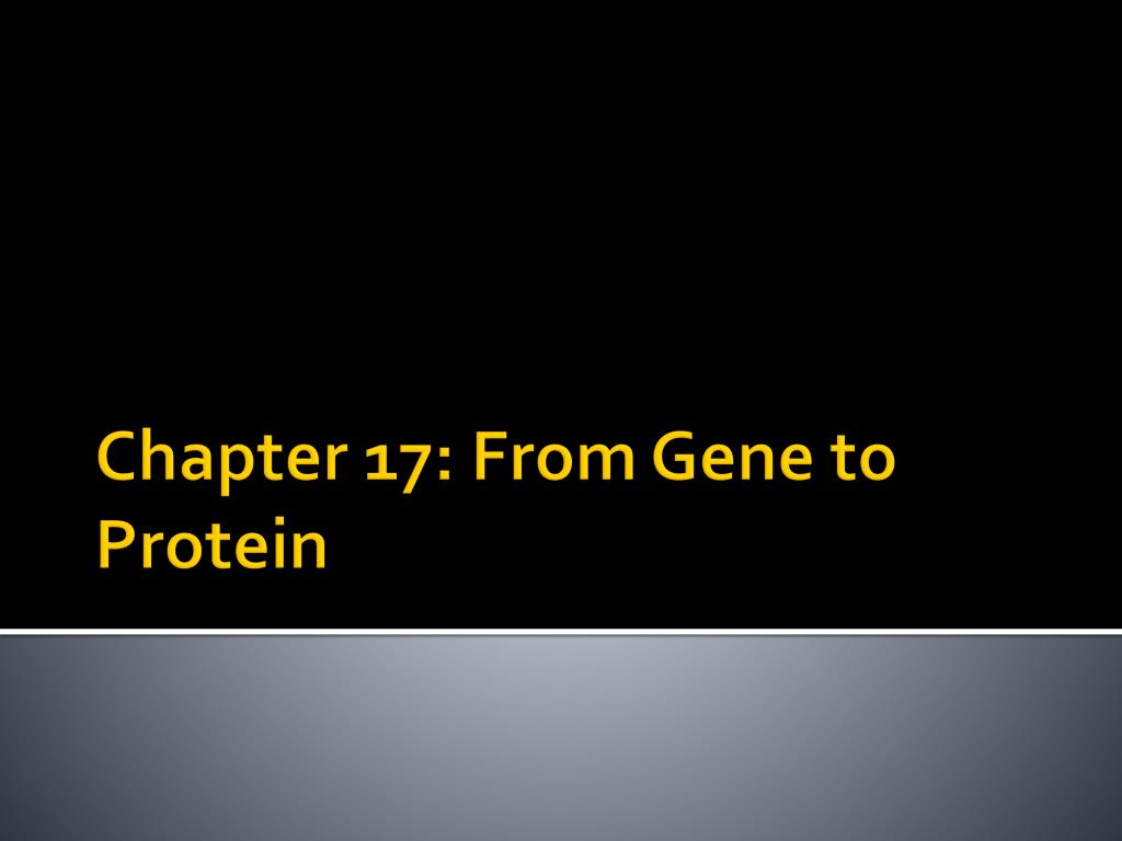 PPT - Chapter 17: From Gene to Protein PowerPoint Presentation, free ...
