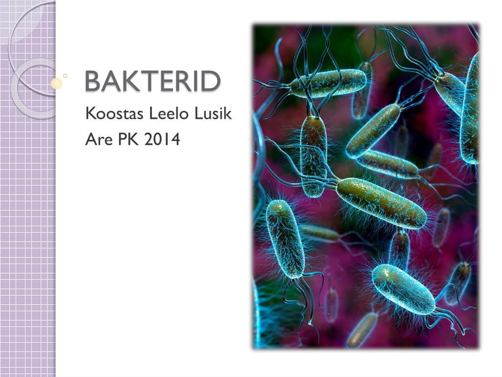PPT - BAKTERID PowerPoint Presentation, free download - ID:2016518