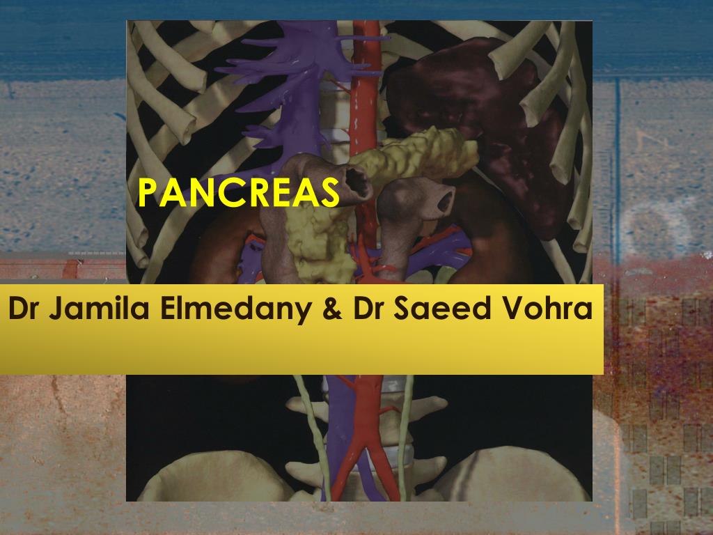 PPT - PANCREAS PowerPoint Presentation, free download - ID:2017084