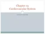 PPT - Chapter 13 Cardiovascular System PowerPoint Presentation, free ...