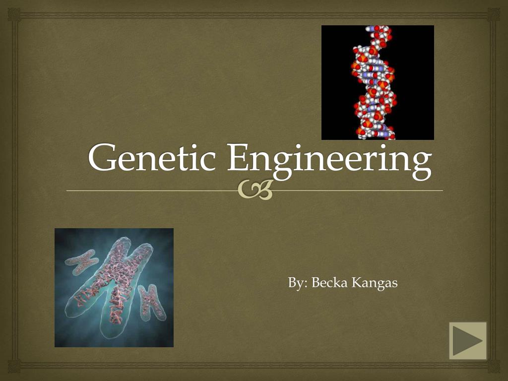 PPT - Genetic Engineering PowerPoint Presentation, free download - ID ...