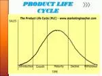 PPT - Mollusk Life Cycle PowerPoint Presentation, free download - ID ...