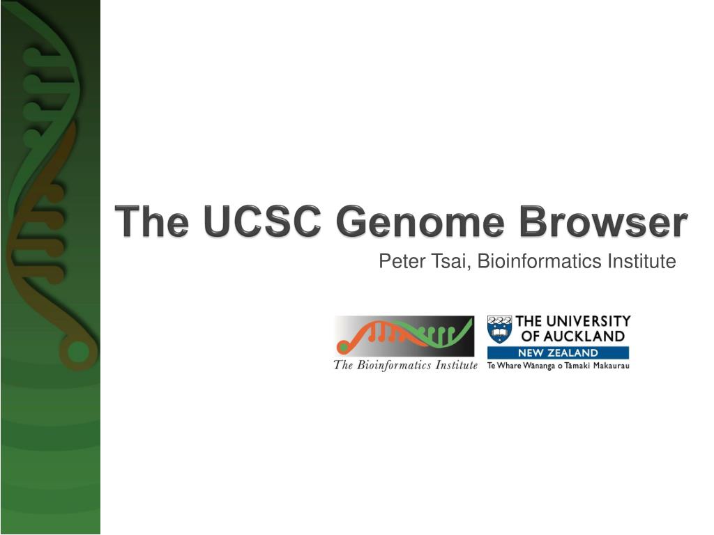PPT - The UCSC Genome Browser PowerPoint Presentation, free download ...