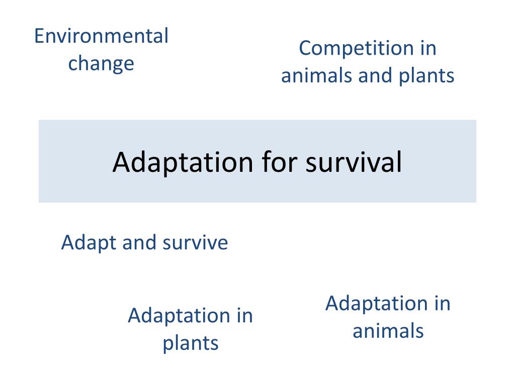 PPT - Adaptation for survival PowerPoint Presentation, free download ...