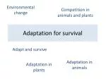 PPT - Behavioural Adaptations for Survival PowerPoint Presentation ...