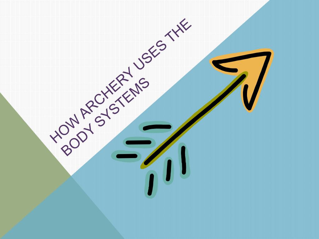 PPT - How archery uses the body systems PowerPoint Presentation, free ...