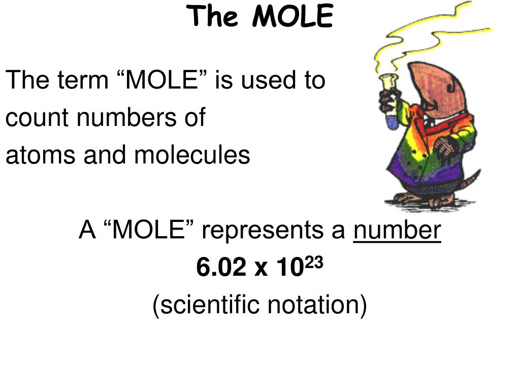 PPT - The MOLE PowerPoint Presentation, free download - ID:2024511