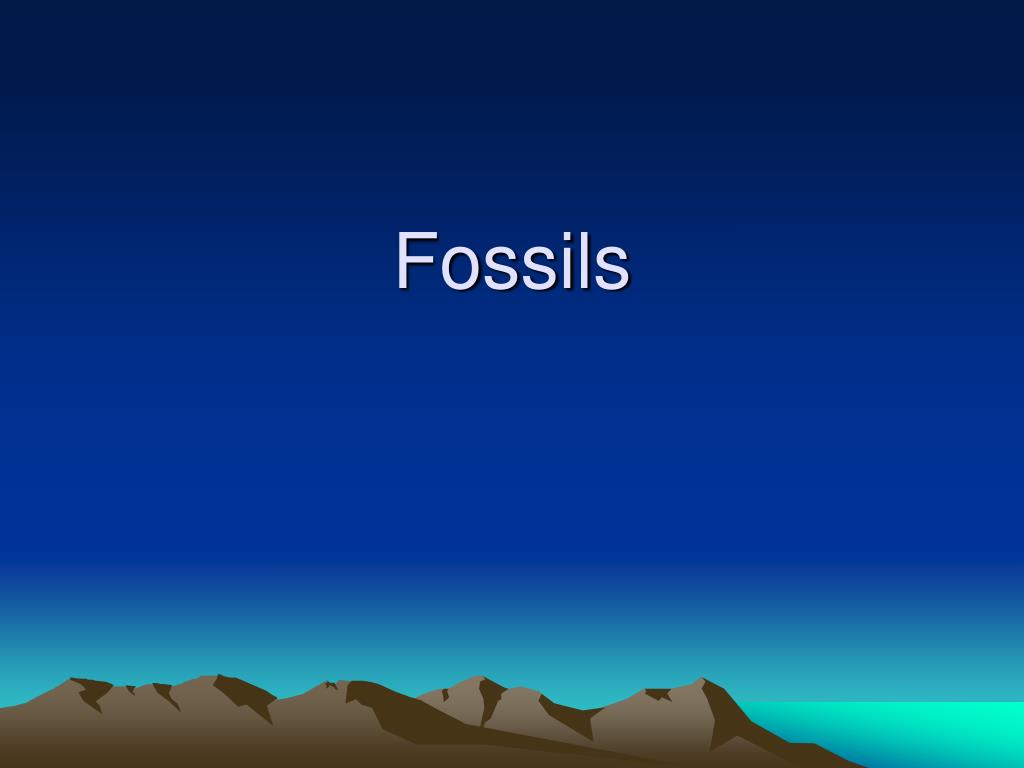 PPT - Fossils PowerPoint Presentation, free download - ID:2024604