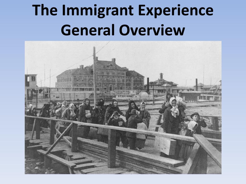 PPT - The Immigrant Experience General Overview PowerPoint Presentation ...